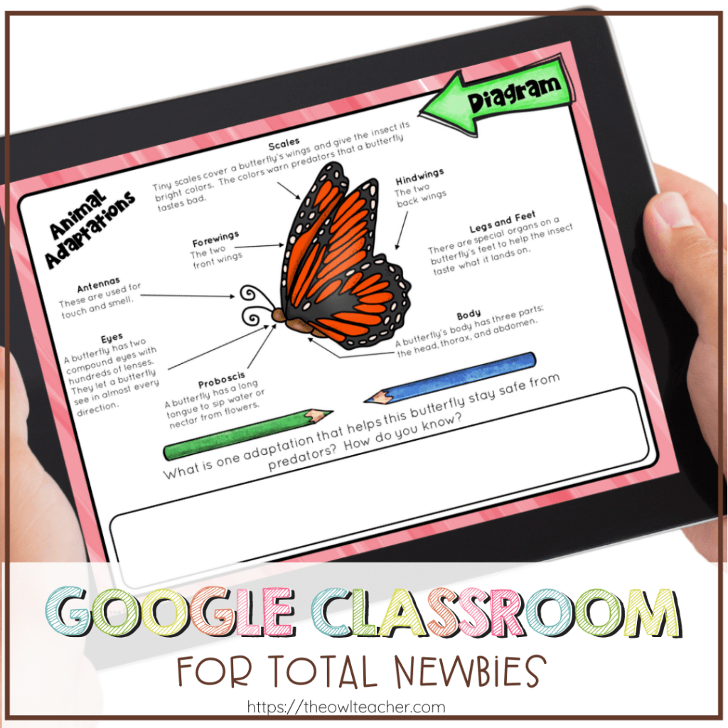 Google Classroom for Total Newbies - The Owl Teacher