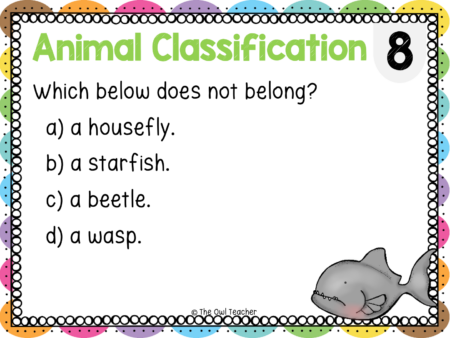 Animal Classification Boom Cards - The Owl Teacher