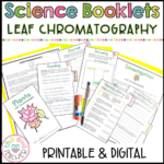 Leaf Chromatography Chlorophyll in Plants Investigation Booklet - The ...