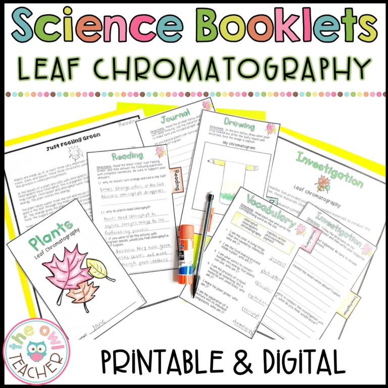Leaf Chromatography Chlorophyll in Plants Investigation Booklet - The ...