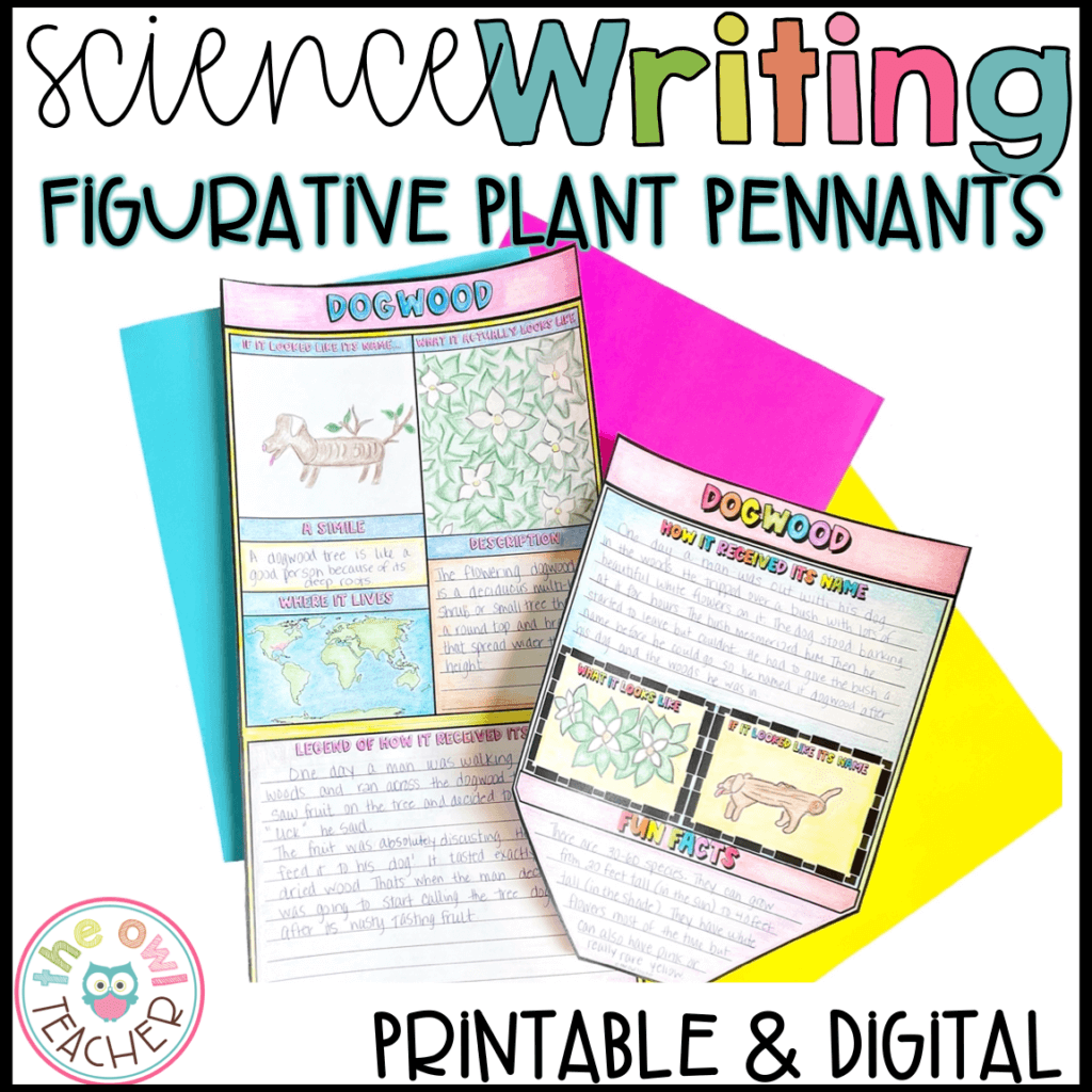 Figurative Plant Pennants - Figurative Language and Legend Writing ...