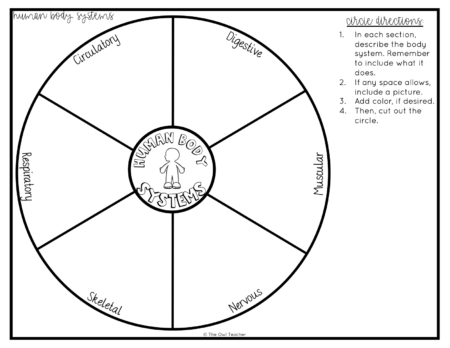 Human Body Systems Circle Book Printable & Digital - The Owl Teacher