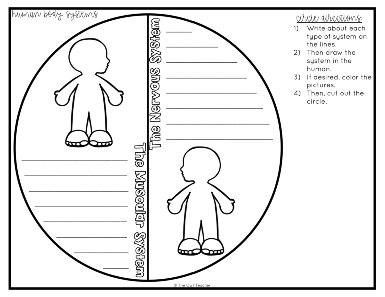 Human Body Systems Circle Book Printable & Digital - The Owl Teacher
