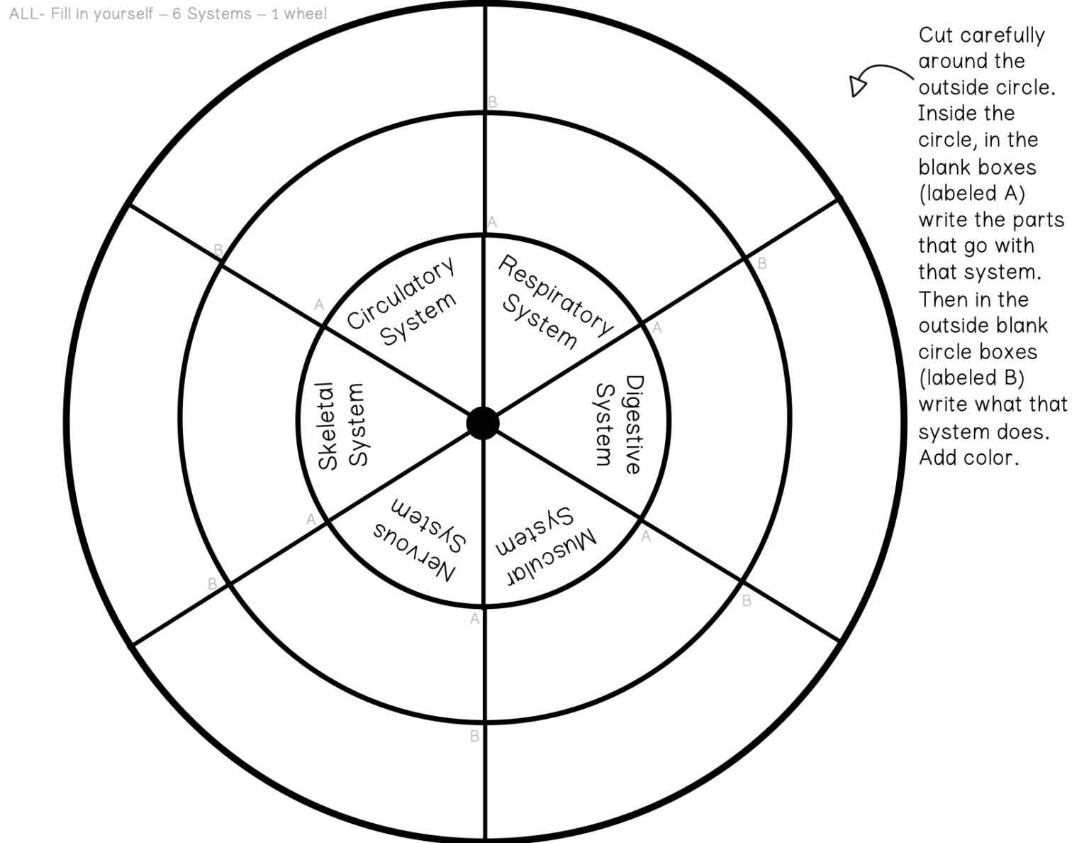 Human Body Systems Wheel - The Owl Teacher