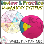 Human Body Systems Wheel - The Owl Teacher