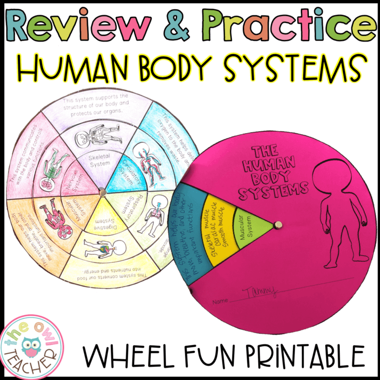 Human Body Systems Wheel - The Owl Teacher