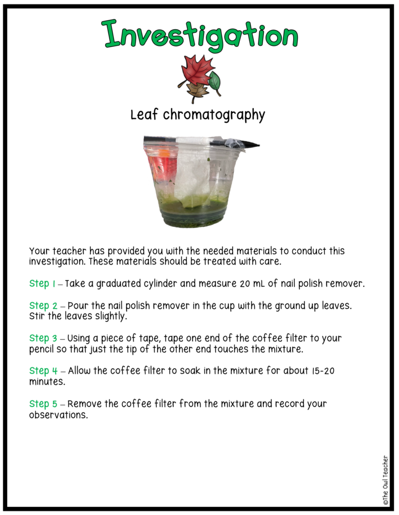 Leaf Chromatography Chlorophyll in Plants Investigation Booklet - The ...