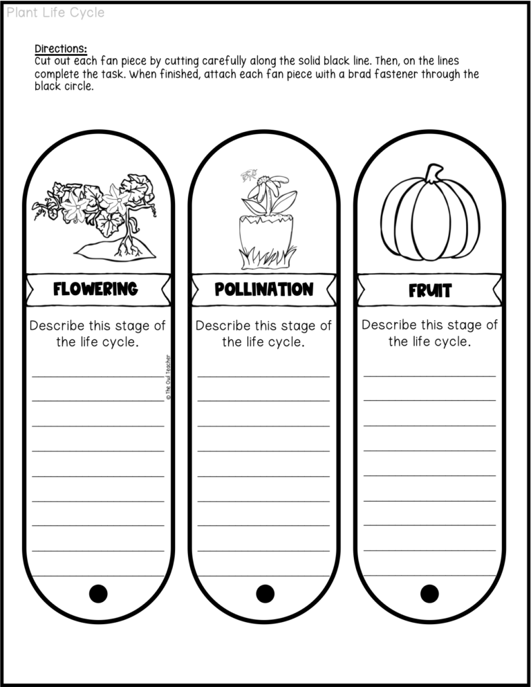 Plant Fans - The Owl Teacher