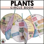 Plant Circle Book - The Owl Teacher