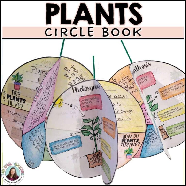 Plant Circle Book - The Owl Teacher
