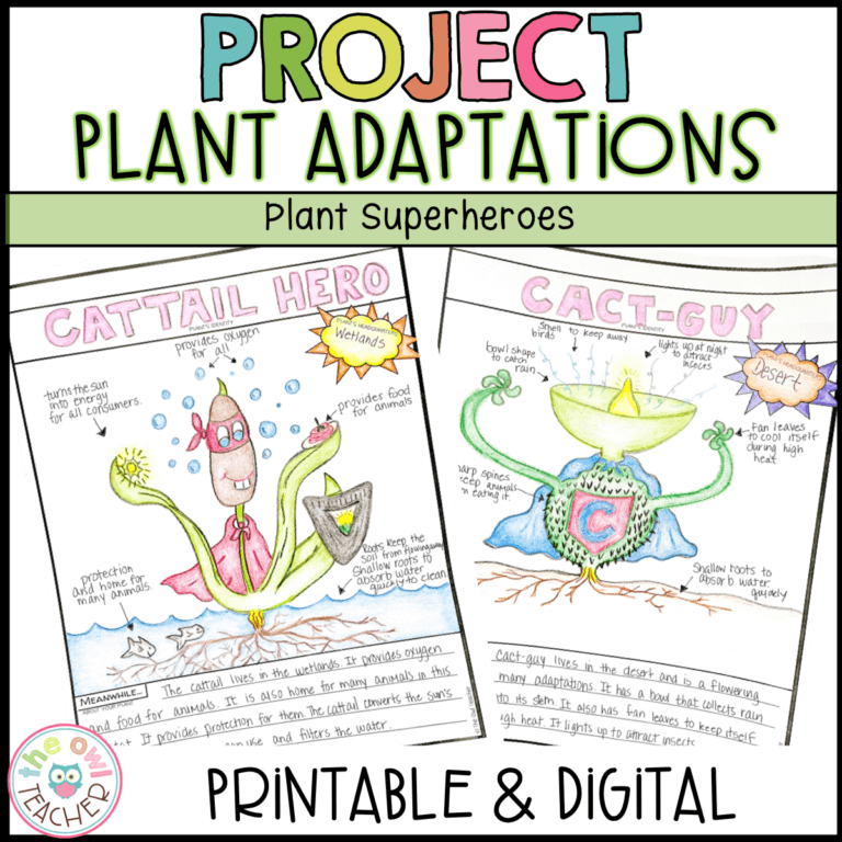 Plant Adaptations Superheroes Project - The Owl Teacher
