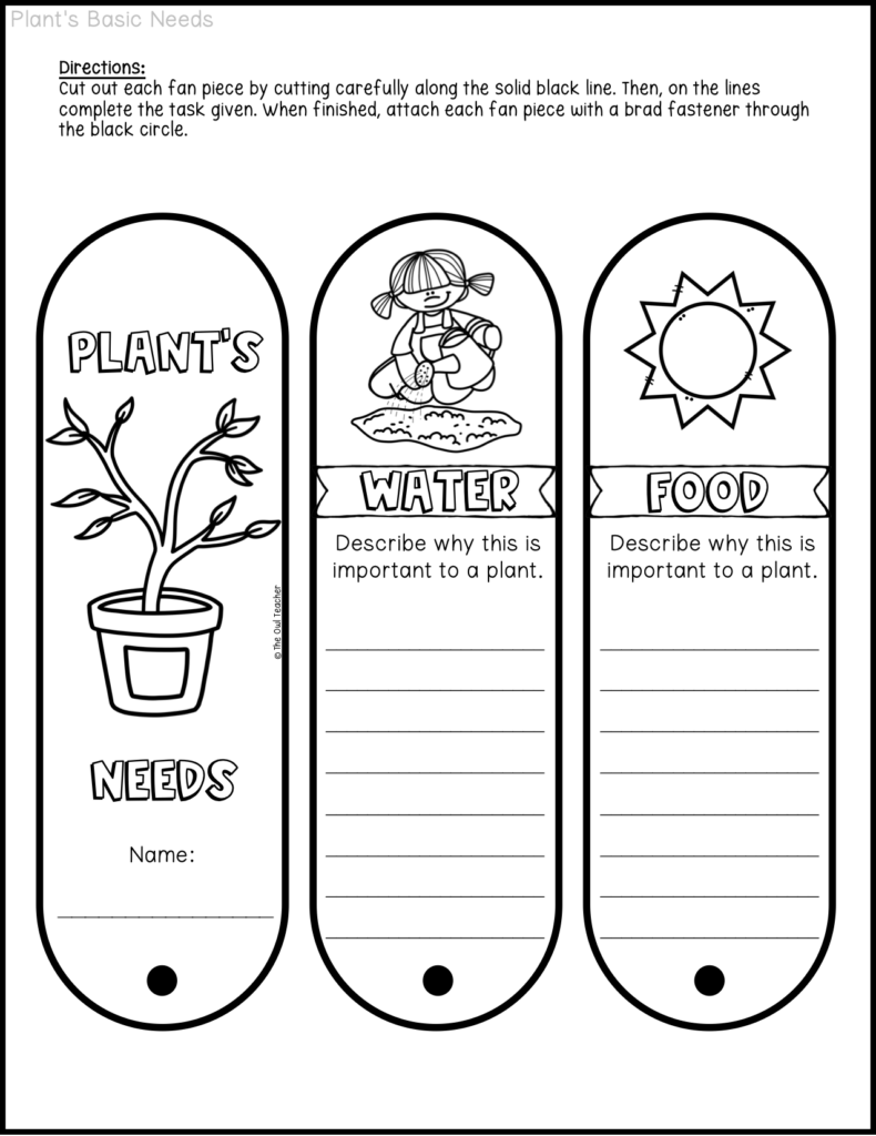 Plant Fans - The Owl Teacher