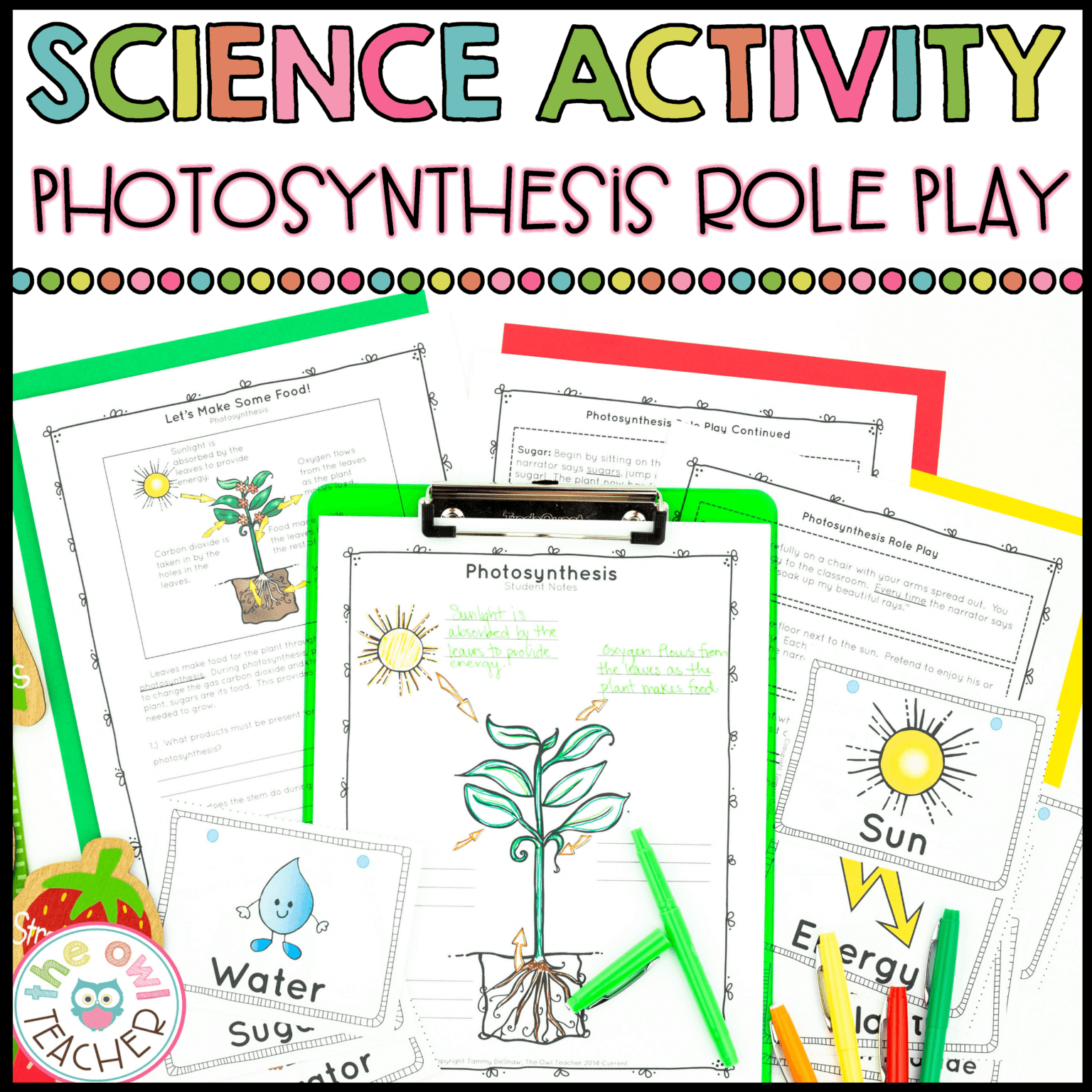 Photosynthesis Role Play Science Activity - The Owl Teacher