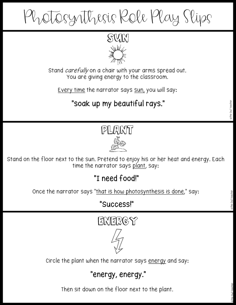 Photosynthesis Role Play Science Activity - The Owl Teacher
