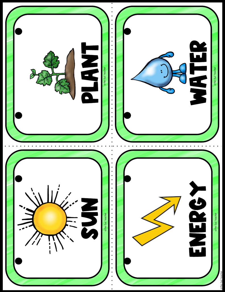 Photosynthesis Role Play Science Activity - The Owl Teacher
