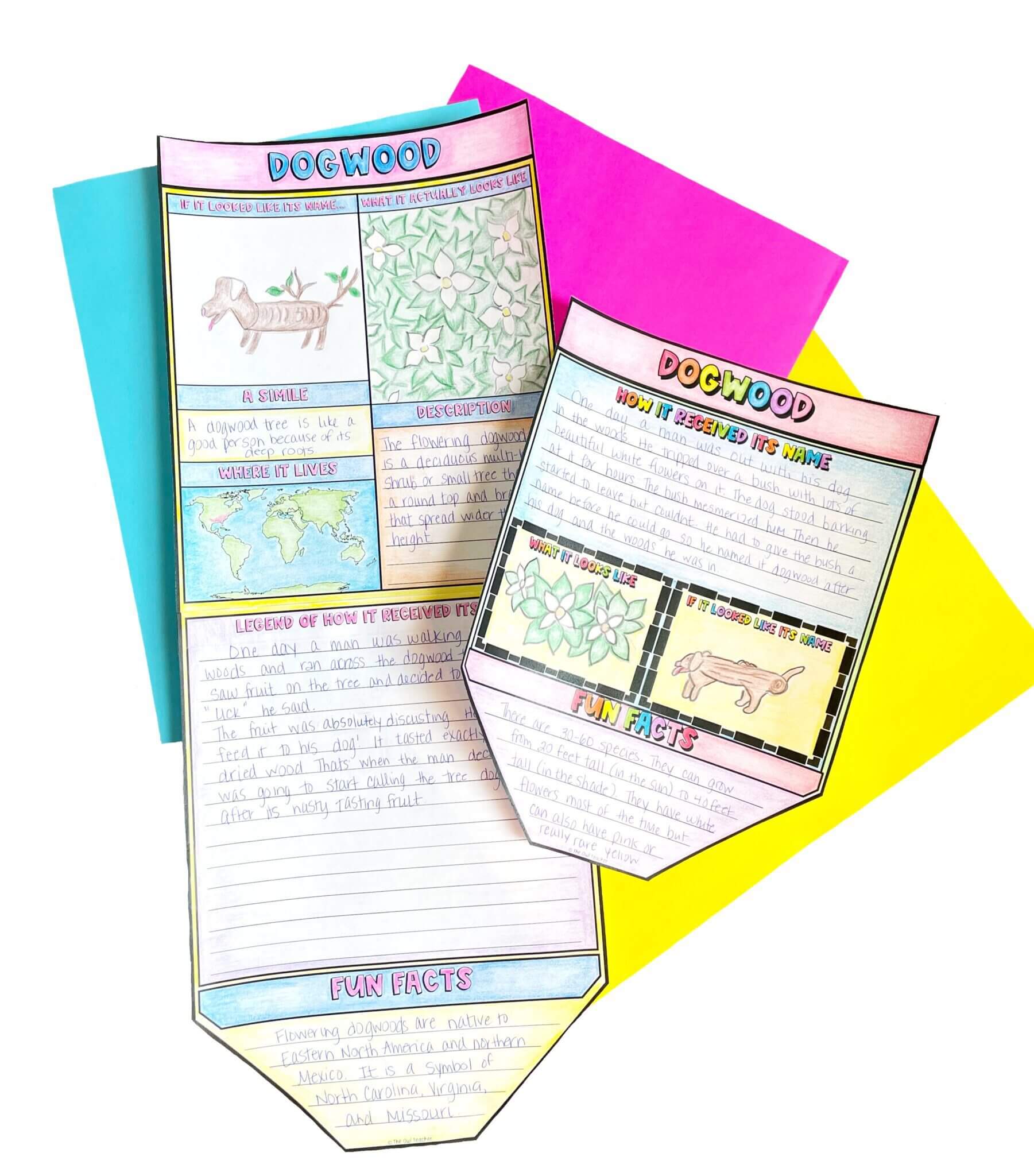 10 Hands-On Plant Activities - The Owl Teacher