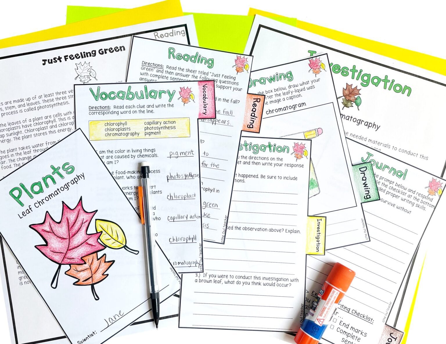 10 Hands-On Plant Activities - The Owl Teacher