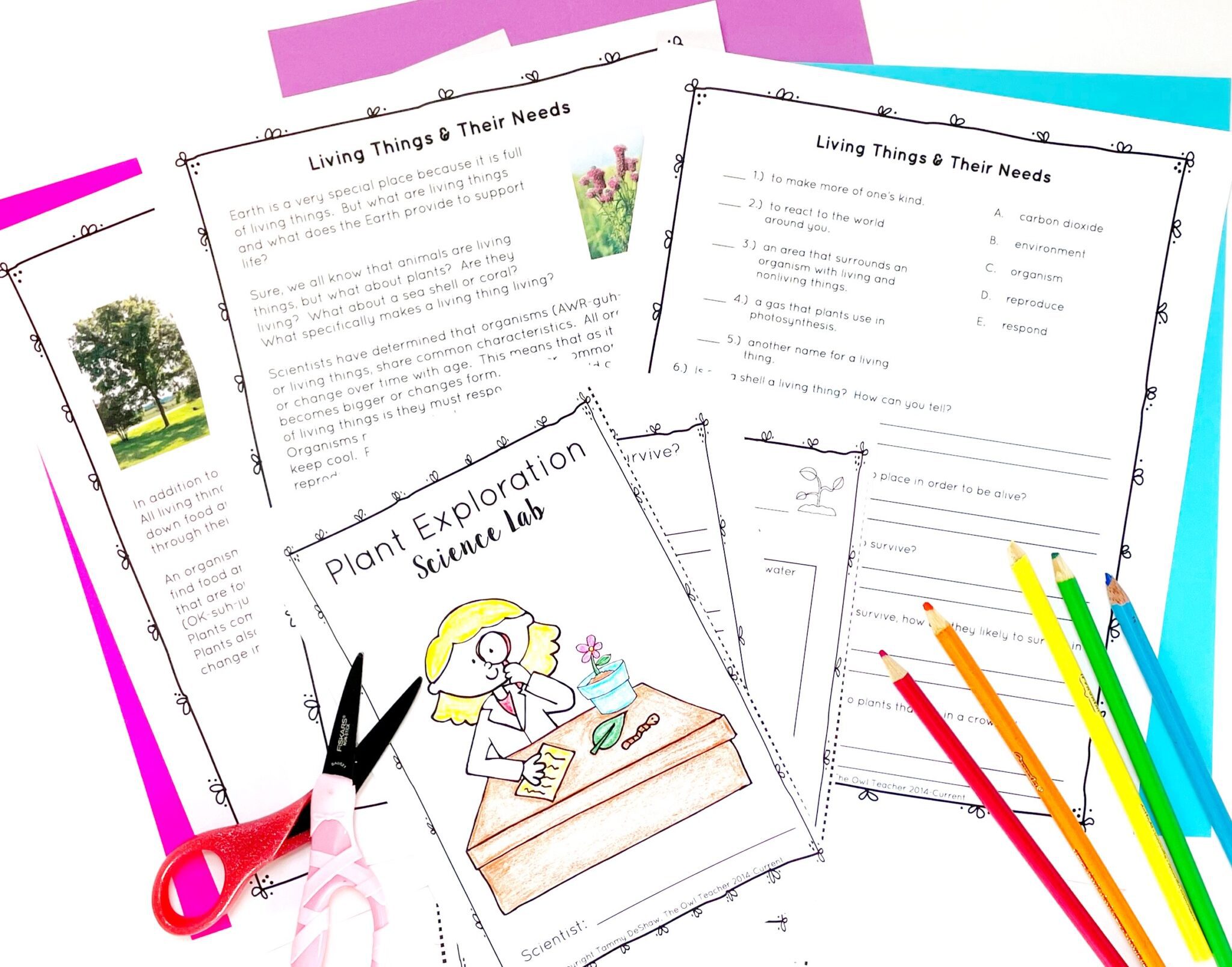 10 Hands-On Plant Activities - The Owl Teacher