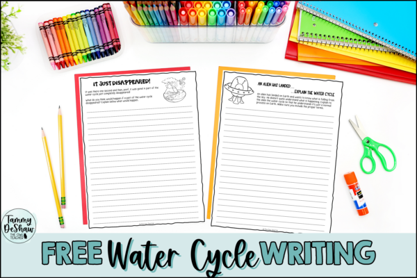 Water You Waiting for? Check Out These Water Cycle Activities! - The ...