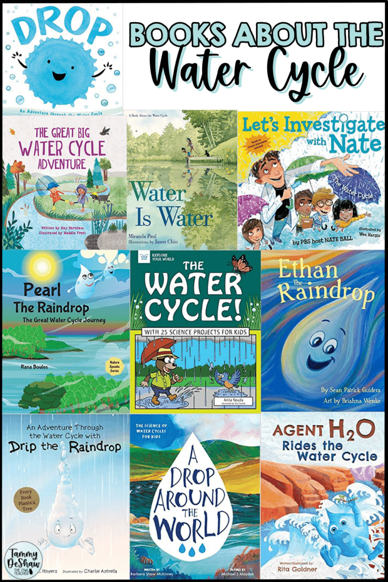 Water You Waiting for? Check Out These Water Cycle Activities! - The ...