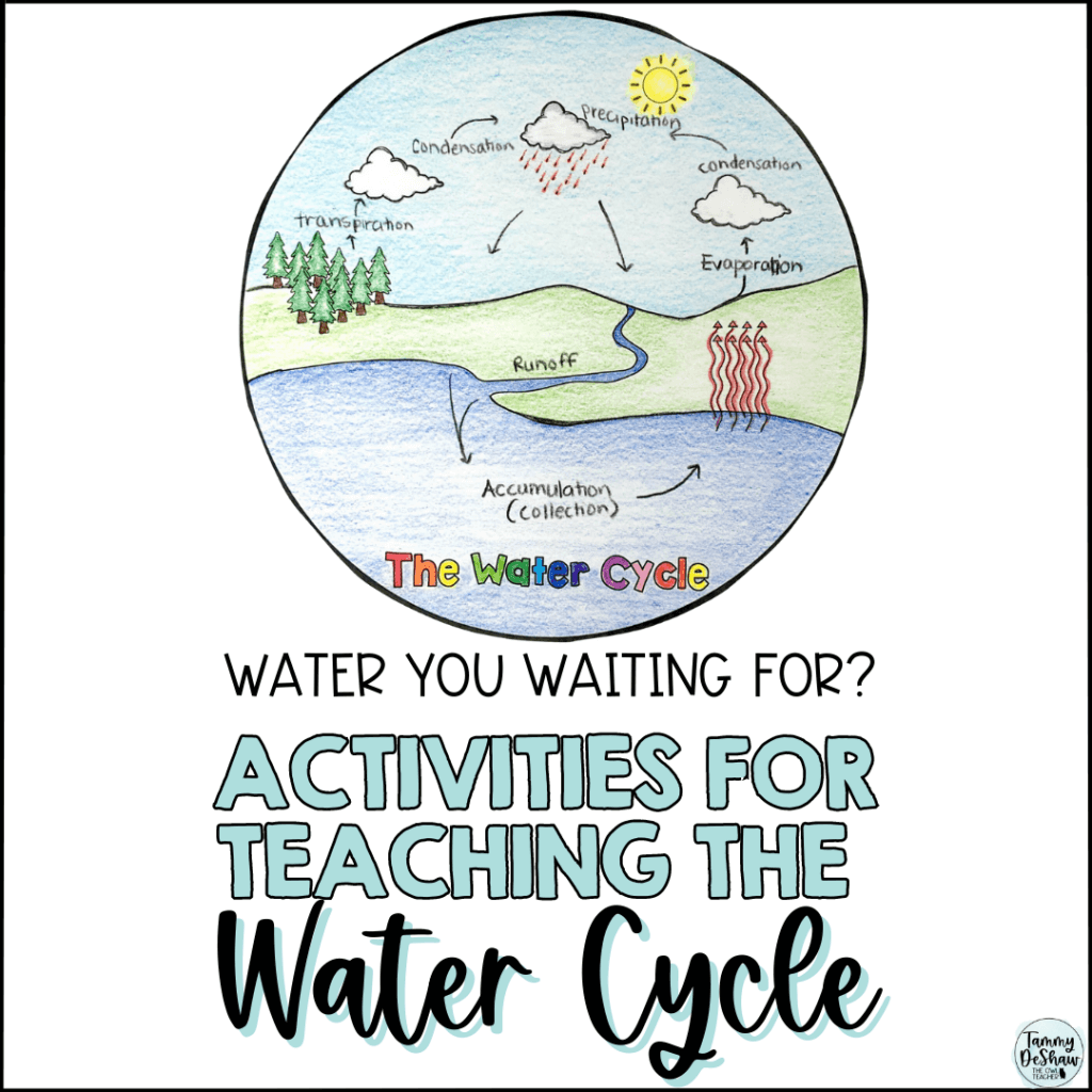Water You Waiting for? Check Out These Water Cycle Activities! - The ...