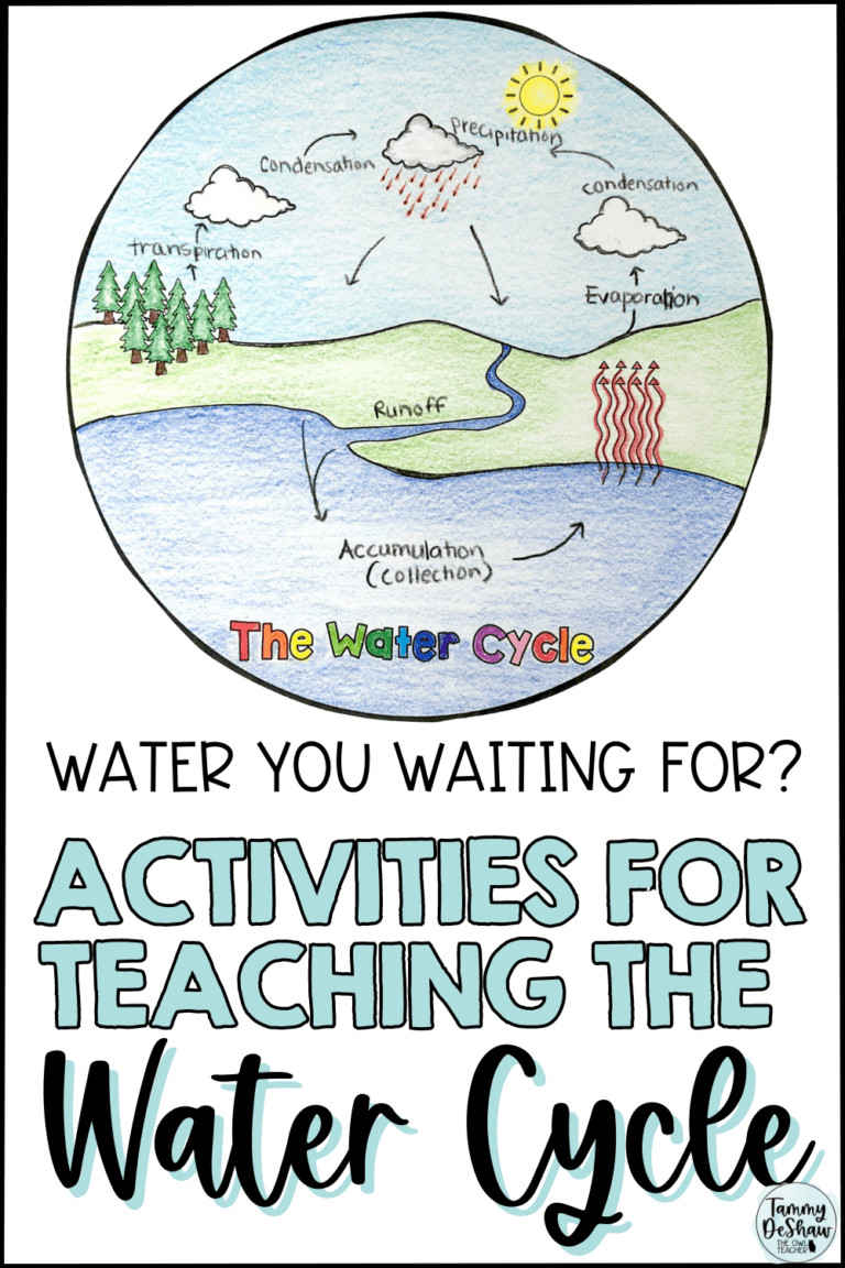 Water You Waiting for? Check Out These Water Cycle Activities! - The ...