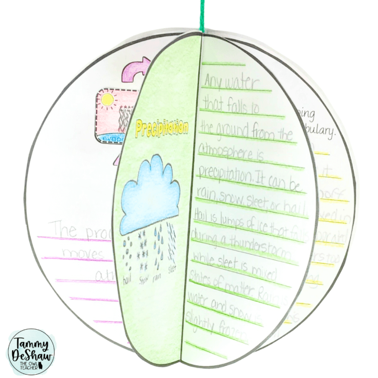 Water You Waiting for? Check Out These Water Cycle Activities! - The ...
