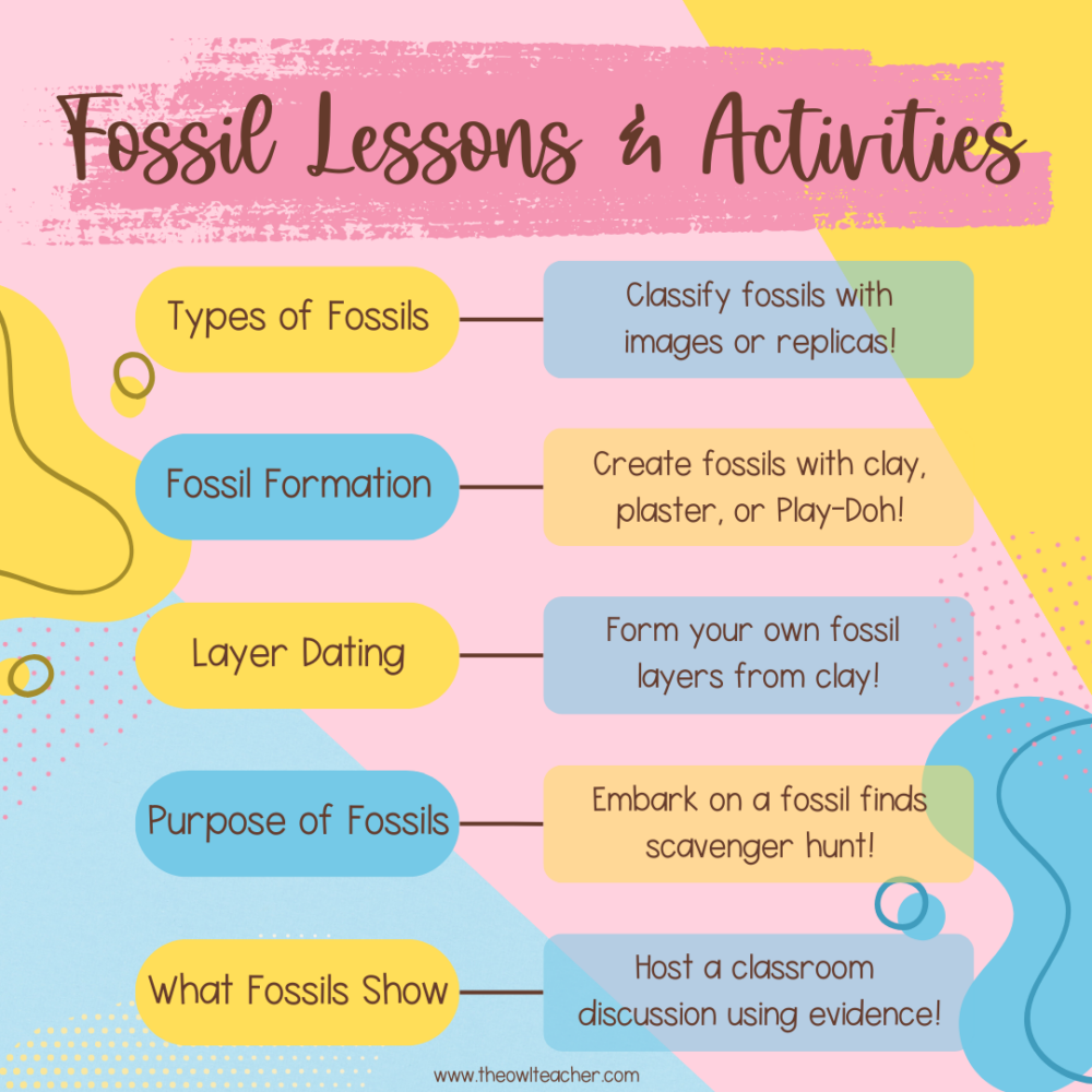 5 Lessons to Smash Earth's History (with Fossil Activities!) - The Owl ...