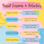 5 Lessons to Smash Earth's History (with Fossil Activities!) - The Owl ...