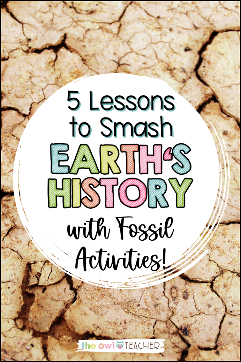 5 Lessons to Smash Earth's History (with Fossil Activities!) - The Owl ...