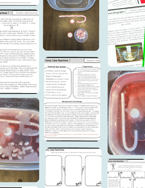 Holiday science - The Owl Teacher