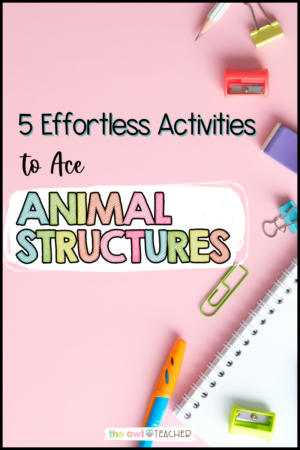 5 Effortless Activities to Ace Animal Structures - The Owl Teacher