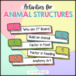 5 Effortless Activities to Ace Animal Structures - The Owl Teacher