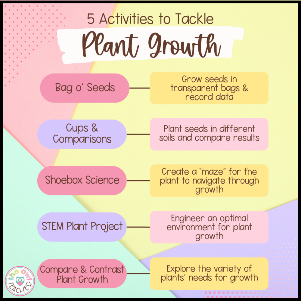 Tackle Plant Growth Cycles with 5 Hands-On Activities - The Owl Teacher