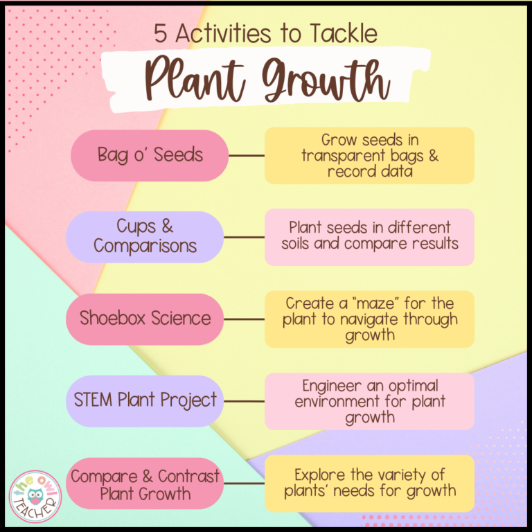 Tackle Plant Growth Cycles with 5 Hands-On Activities - The Owl Teacher