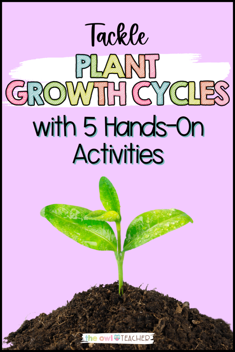 Tackle Plant Growth Cycles with 5 Hands-On Activities - The Owl Teacher