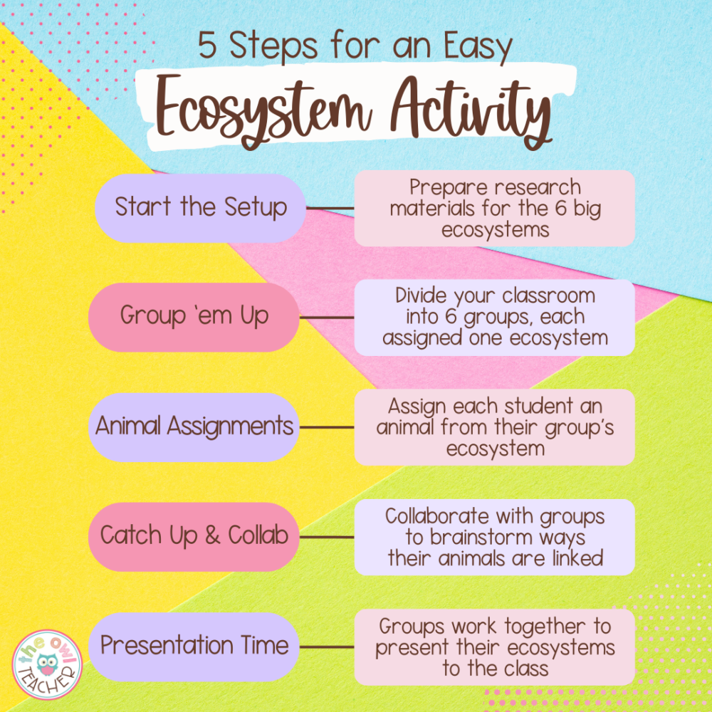 Collaborate with this Easy Ecosystems Activity - The Owl Teacher