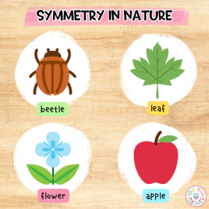 7 Superb Symmetry Activities (with a FREEBIE!) - The Owl Teacher