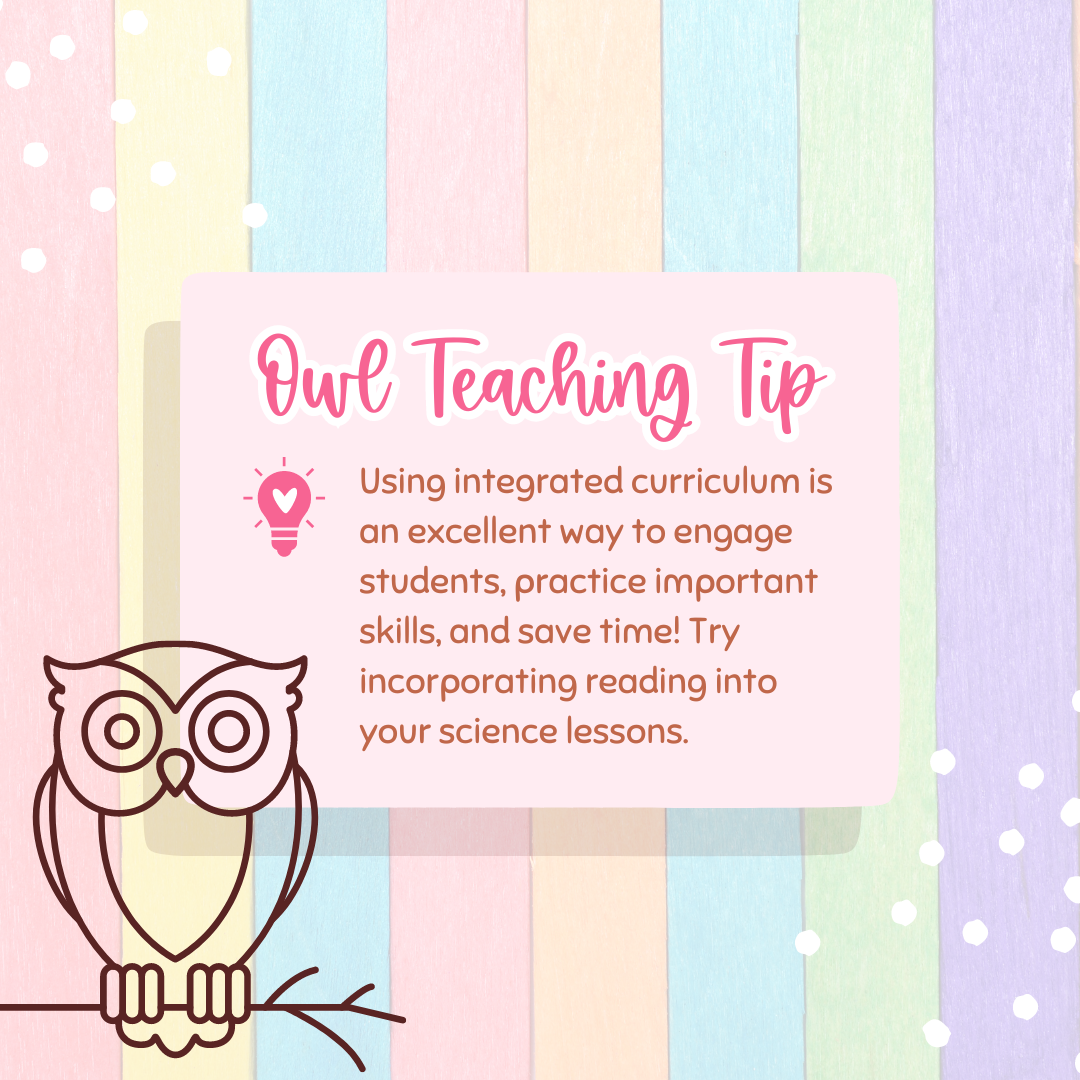 8 Hands-On Activities to Master Food Chains and Food Webs - The Owl Teacher