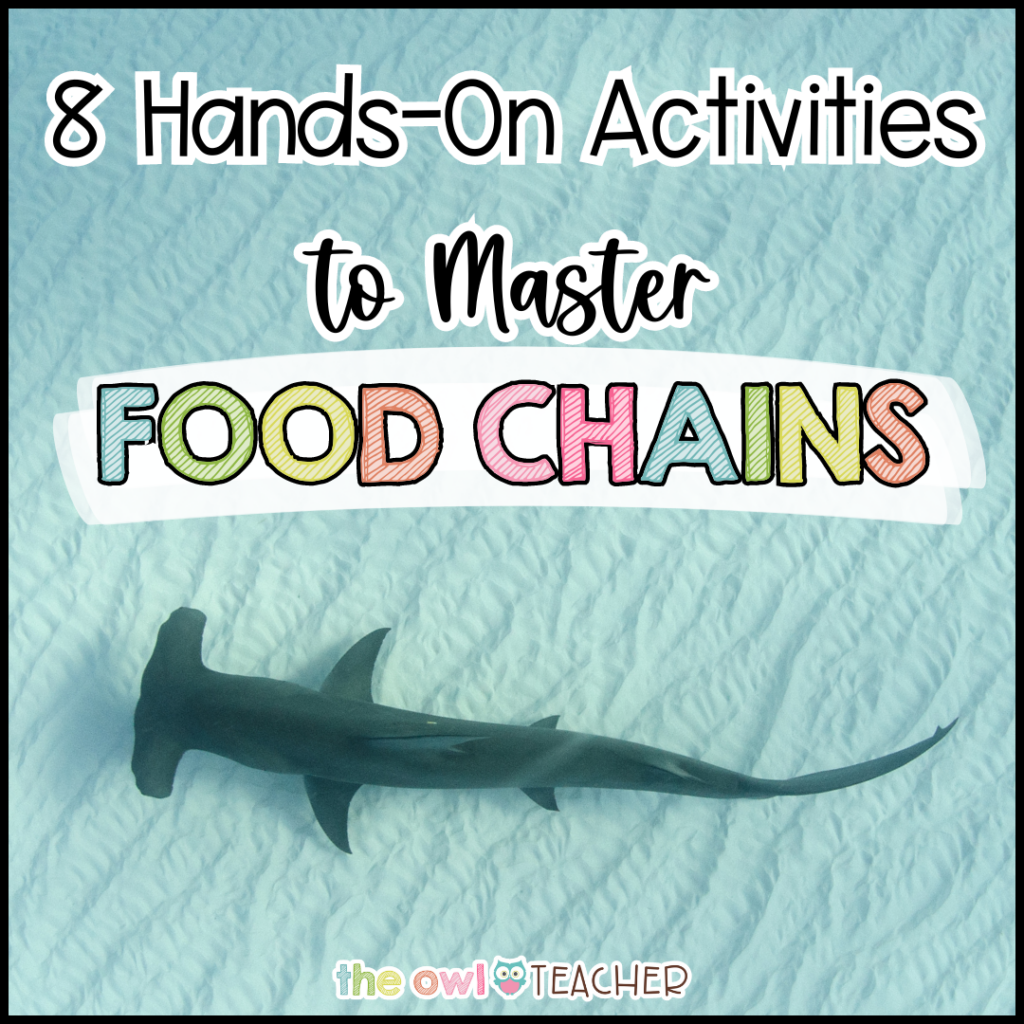 8 Hands-On Activities to Master Food Chains and Food Webs - The Owl Teacher