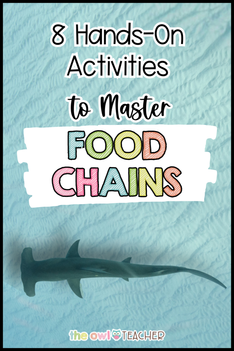 8 Hands-On Activities to Master Food Chains and Food Webs - The Owl Teacher