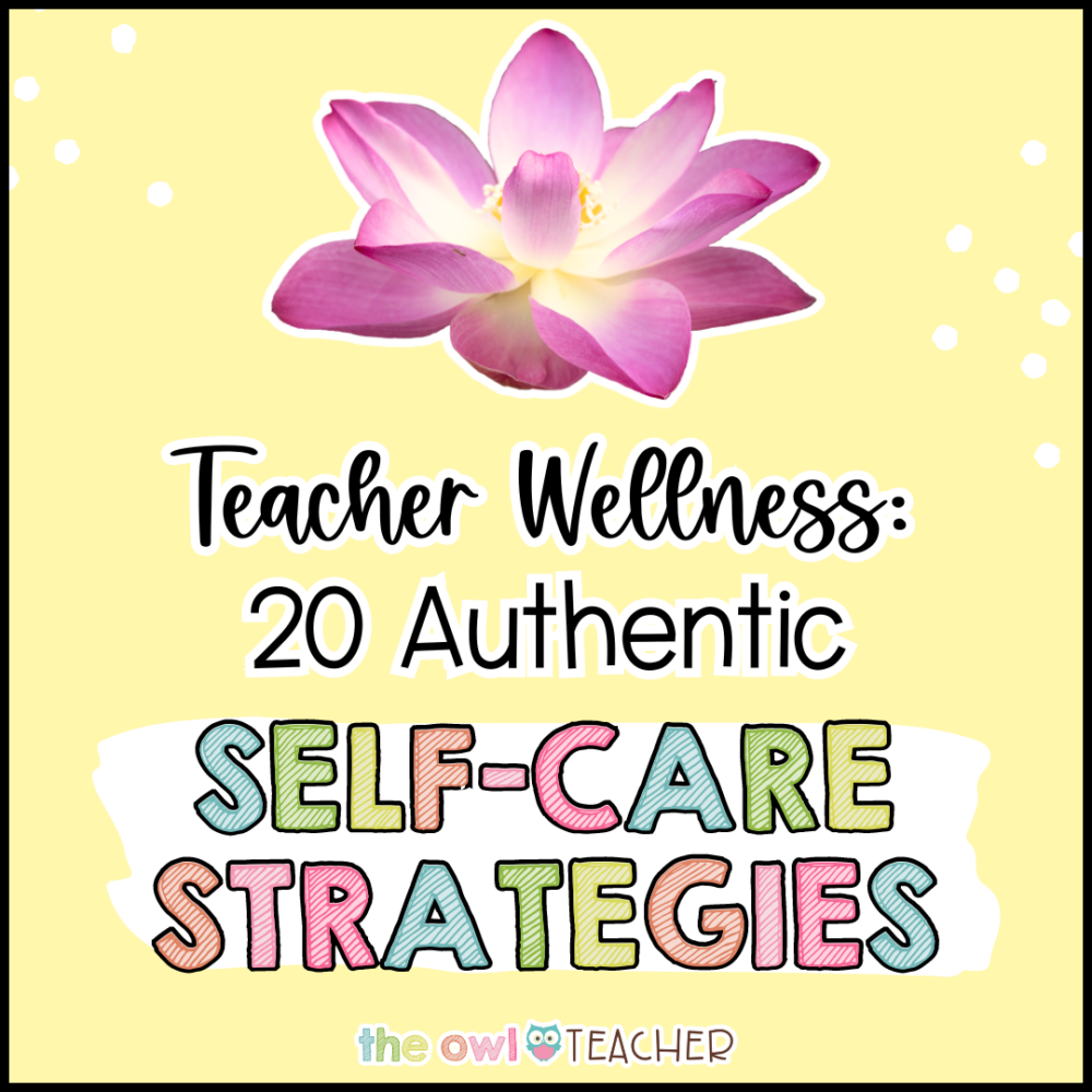 Blog - The Owl Teacher