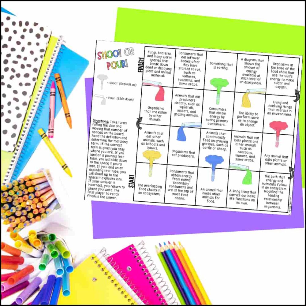 Food Chains Food Webs Ecosystems Science Vocabulary Games - The Owl Teacher