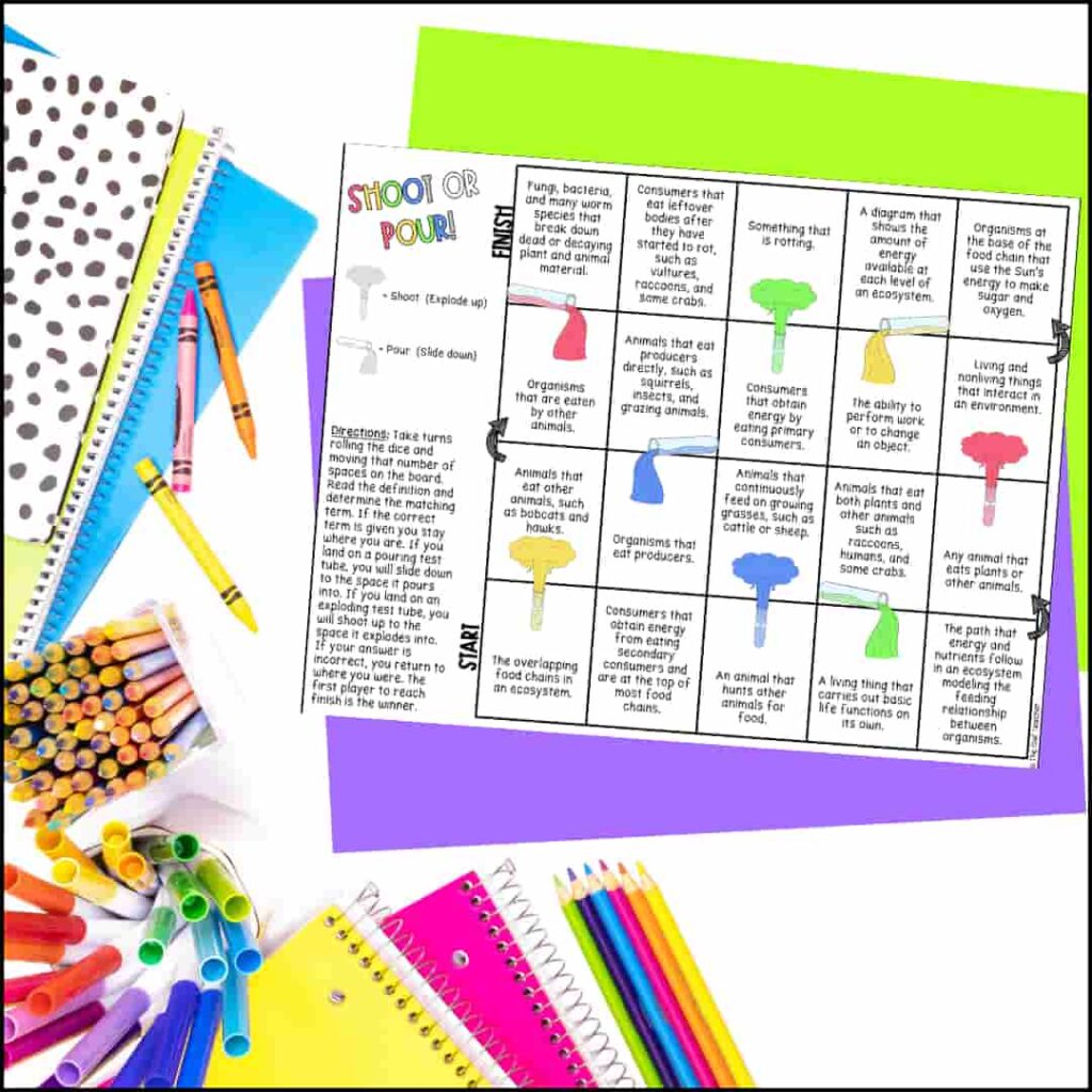 Food Chains Food Webs Ecosystems Science Vocabulary Games - The Owl Teacher