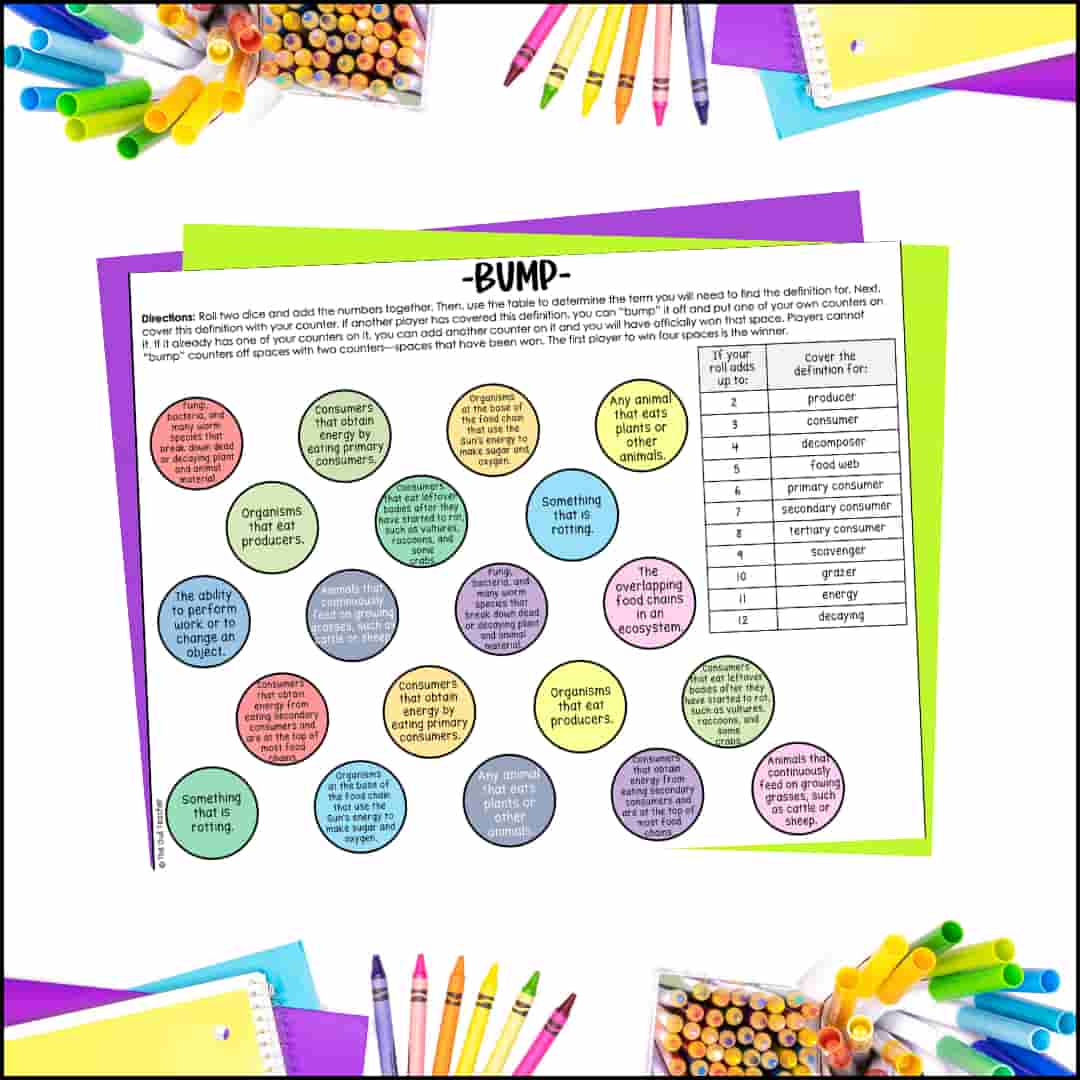 Food Chains Food Webs Ecosystems Science Vocabulary Games - The Owl Teacher