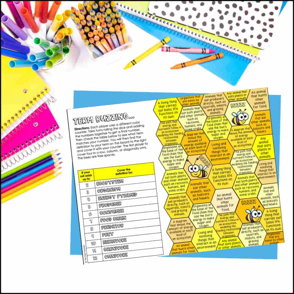 Food Chains Food Webs Ecosystems Science Vocabulary Games - The Owl Teacher