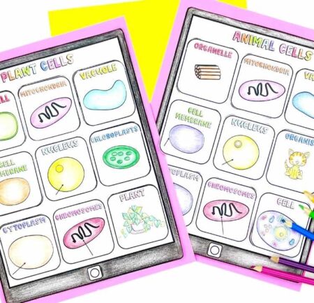 Animal vs Plant Cell Showdown: 8 Fun Ways to Teach Cells and Microbes ...
