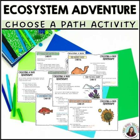 Math Quests: Choose Your Own Thrilling Math Adventure! - The Owl Teacher