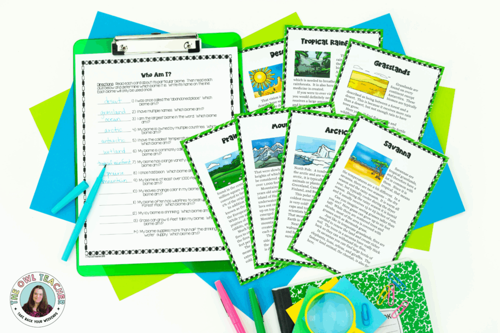 10 Scavenger Hunt Ideas That Actually Teaches Something - The Owl Teacher