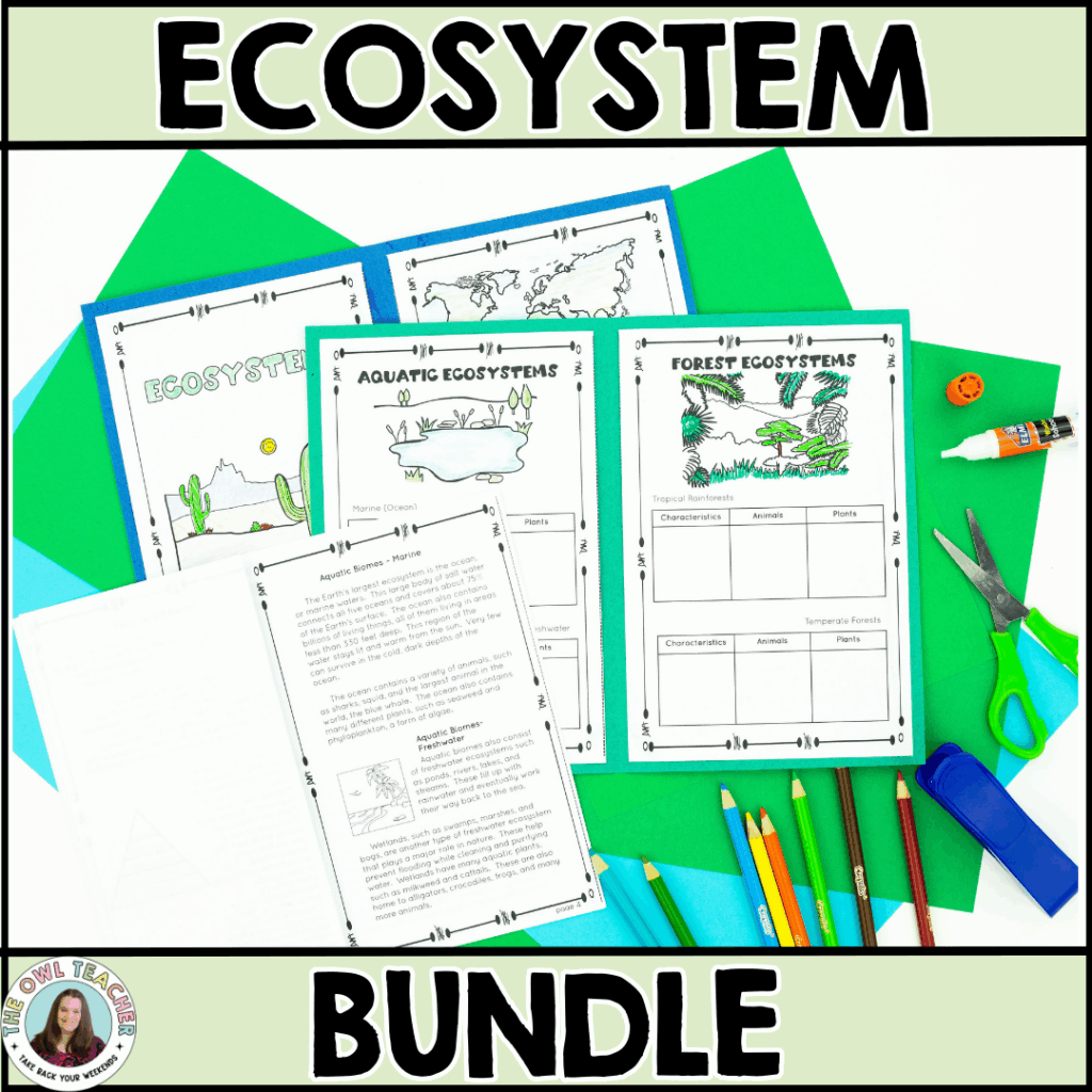 Ecosystem BUNDLE - The Owl Teacher